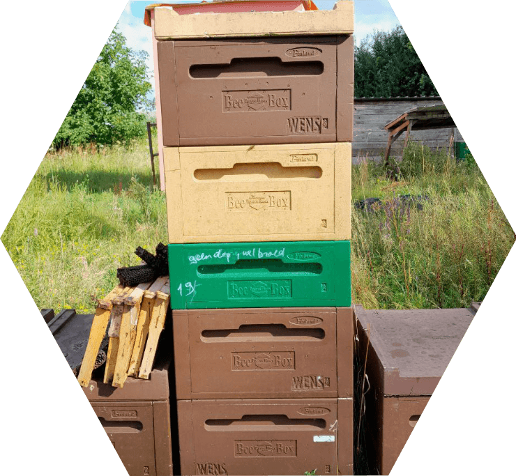 imkerijbezoek - Wallabieke